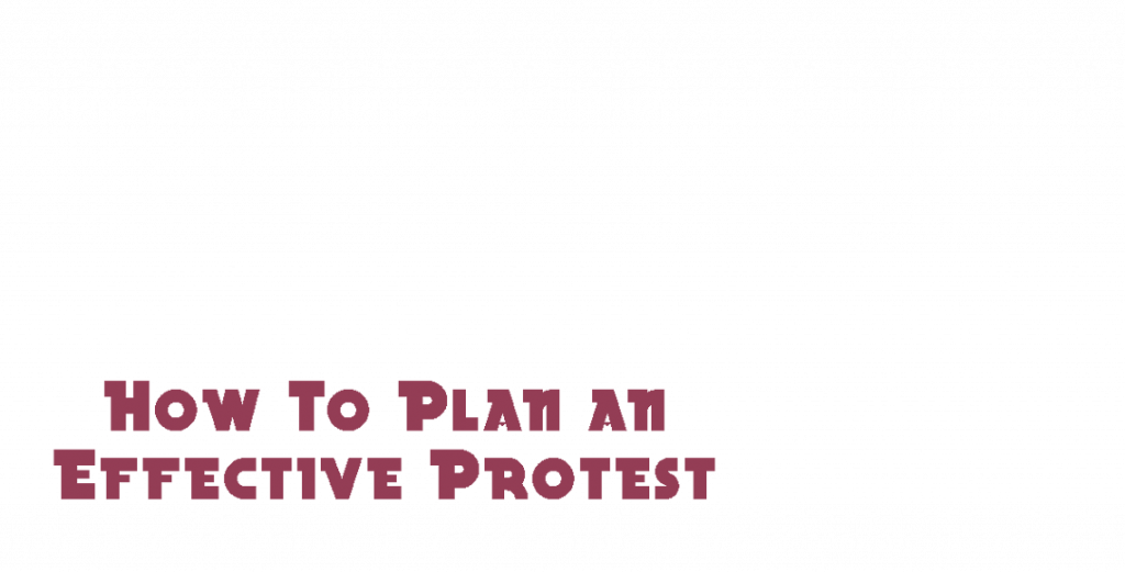 How to Protest EFFECTIVELY: Plan a Powerful Protest Campaign